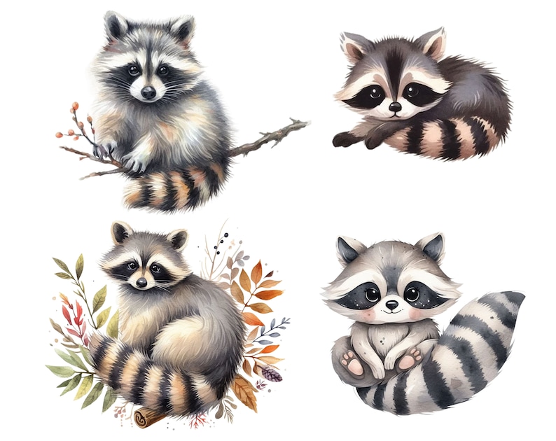 Watercolor Raccoon Clipart, Cute Raccoons Png, Woodland Animals Clip ...