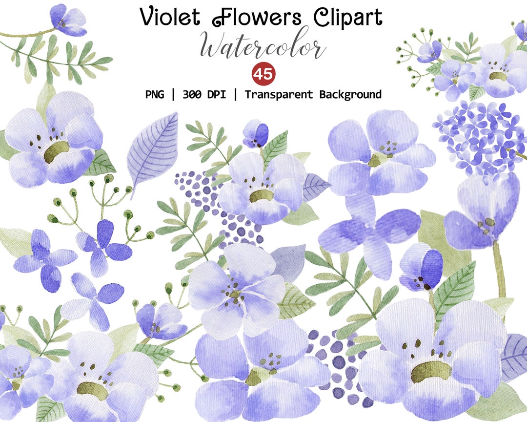 Watercolor Violet Floral Clipart, Unique Violet Flower PNG, Wedding ...