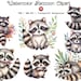 Watercolor Raccoon Clipart, Cute Raccoons Png, Woodland Animals Clip ...