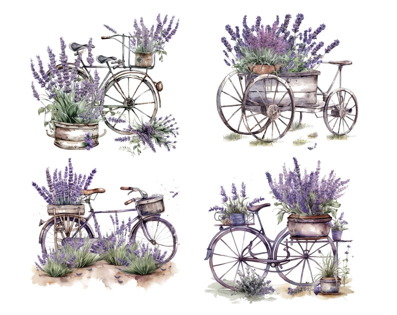 Watercolor Lavender Garden Clipart, Unique Lavender Garden PNG, Purple ...