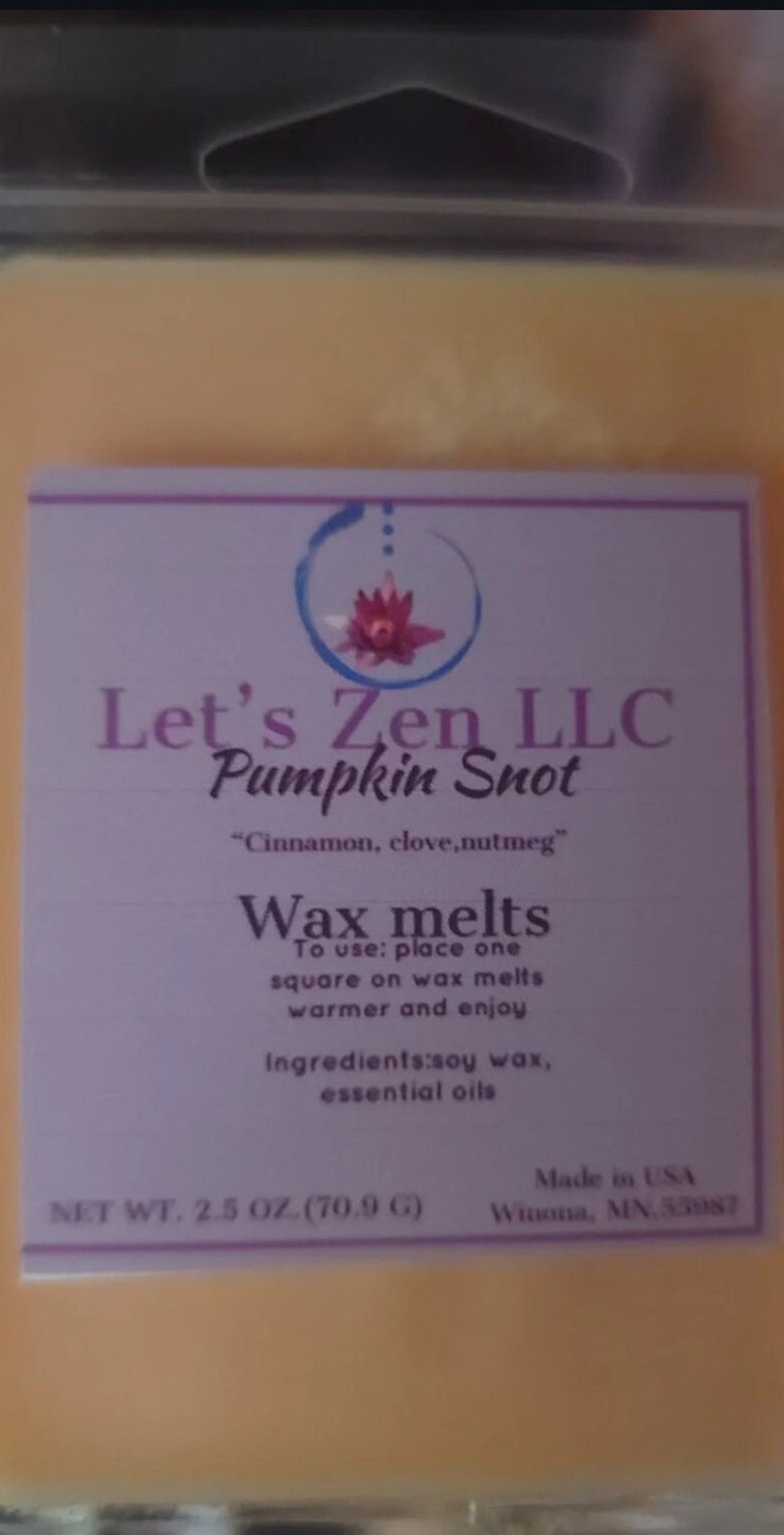 Pumpkin Snot Wax Melt 2.5 Oz (70.9g) - Etsy