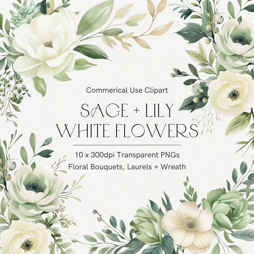Sage Green Flowers Clipart, White Roses, Watercolor Greenery, Wedding ...