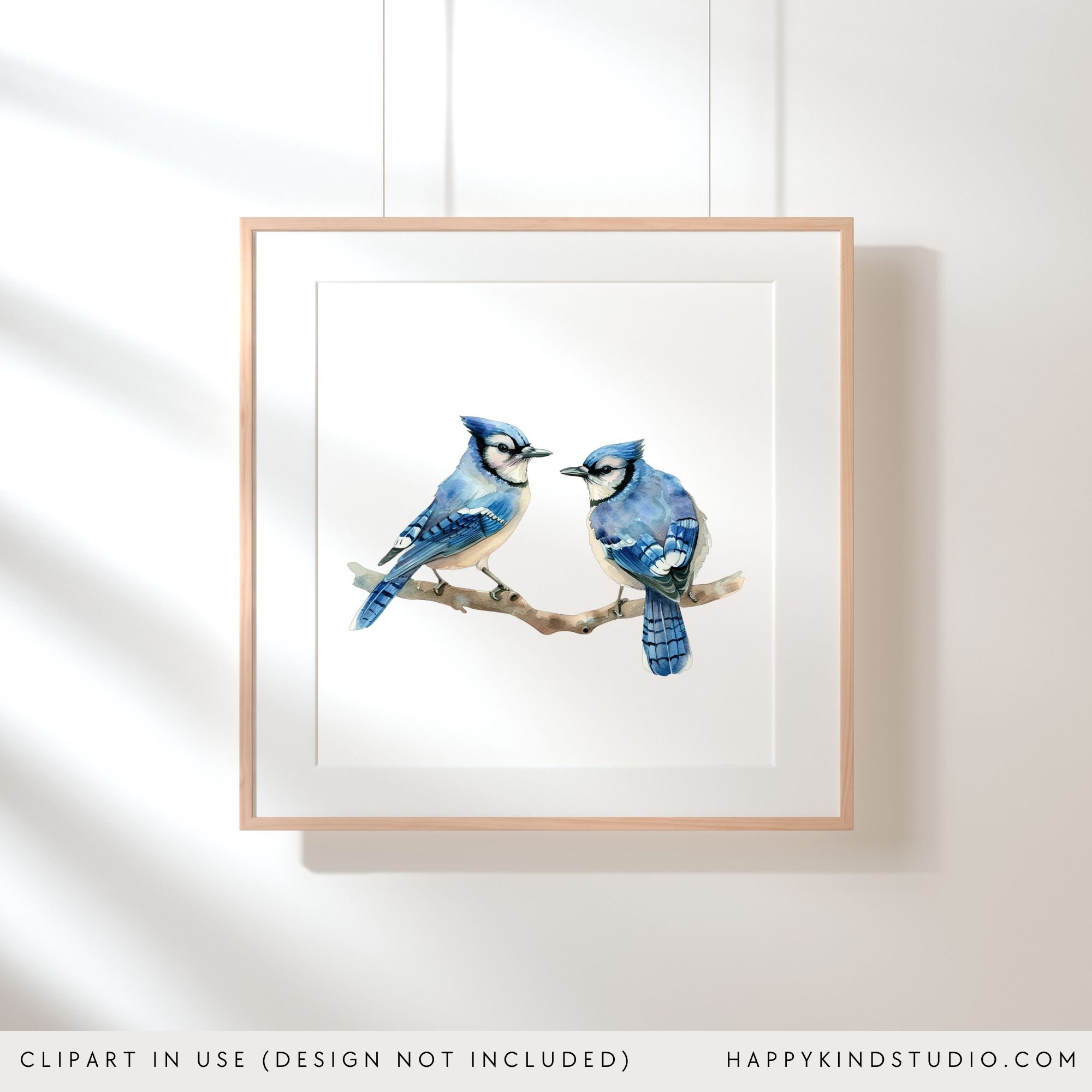 Blue Jay Bird Clipart, Watercolor Blue Bird Graphics, Watercolor Blue ...