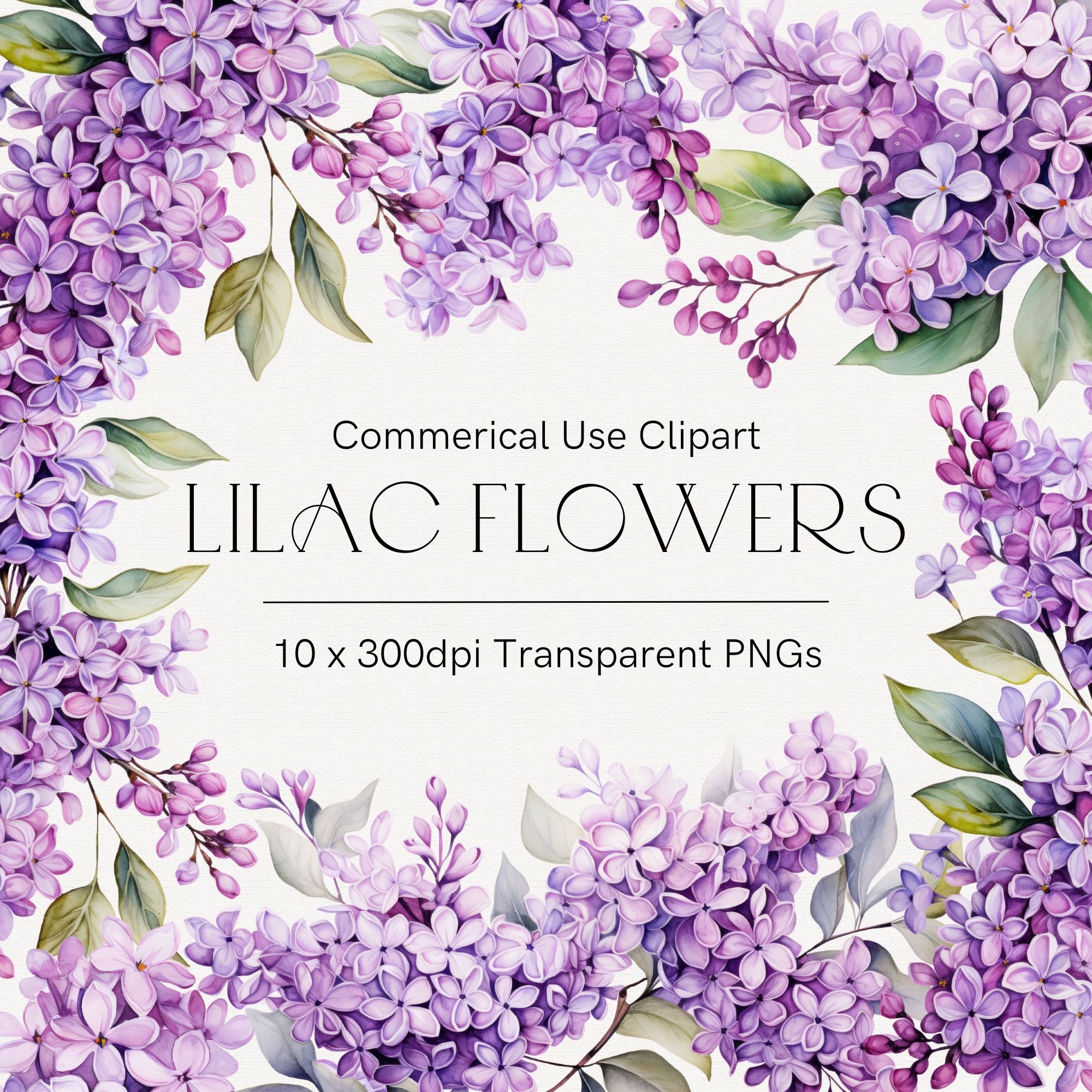 Lilac Flower Clipart, Purple Flowers Clip Art, Watercolor Flowers ...