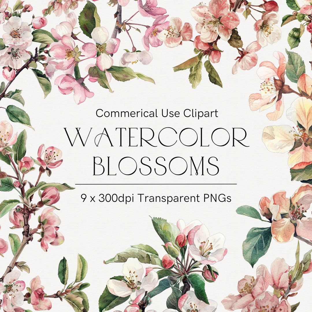 Watercolor Sakura Clipart, Cherry Blossom Png, Spring Flowers, Wedding ...