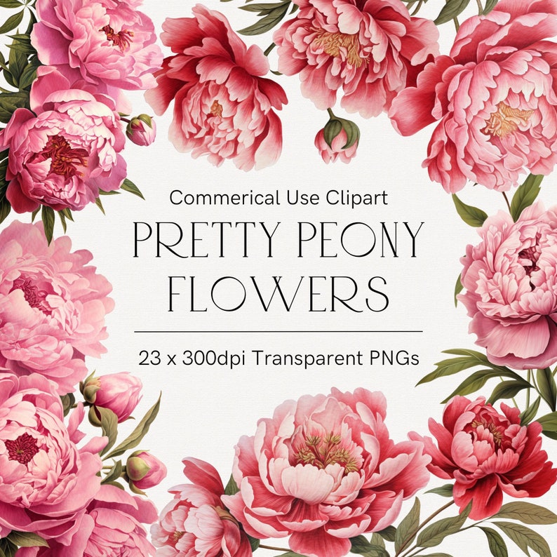 Watercolor Peonies Clipart, Pink Peony Png, Floral Clipart, Transparent ...