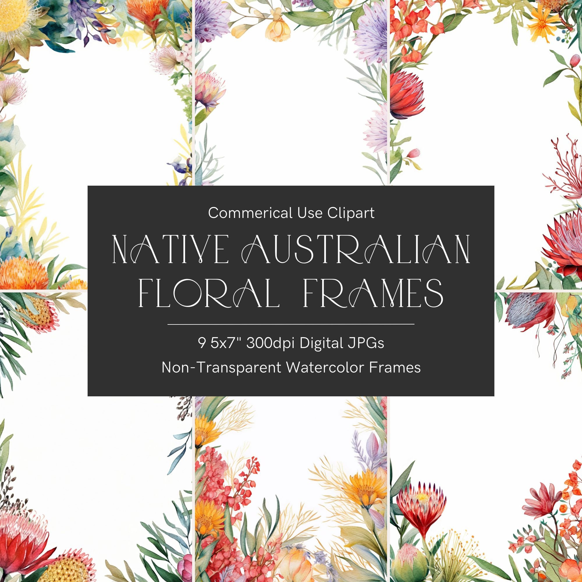 Native Australian Floral Borders, 5x7 Invitaton Frames Bundle, Protea ...