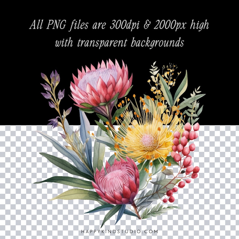 Native Australian Watercolor Flowers, Floral Clipart, Transparent PNG ...