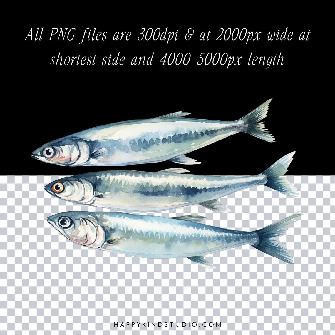 Sardine Clipart, Fish Clip Art, Watercolor Sardines, Seafood ...