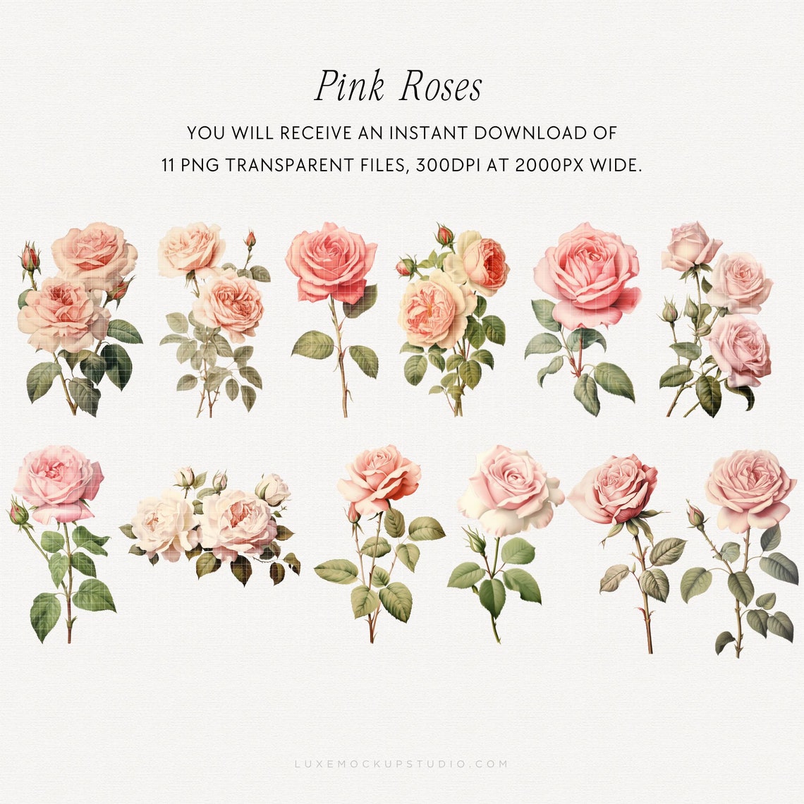 Rose Clipart Bundle, Watercolor Pink Rose Bundle, Flower Clipart ...