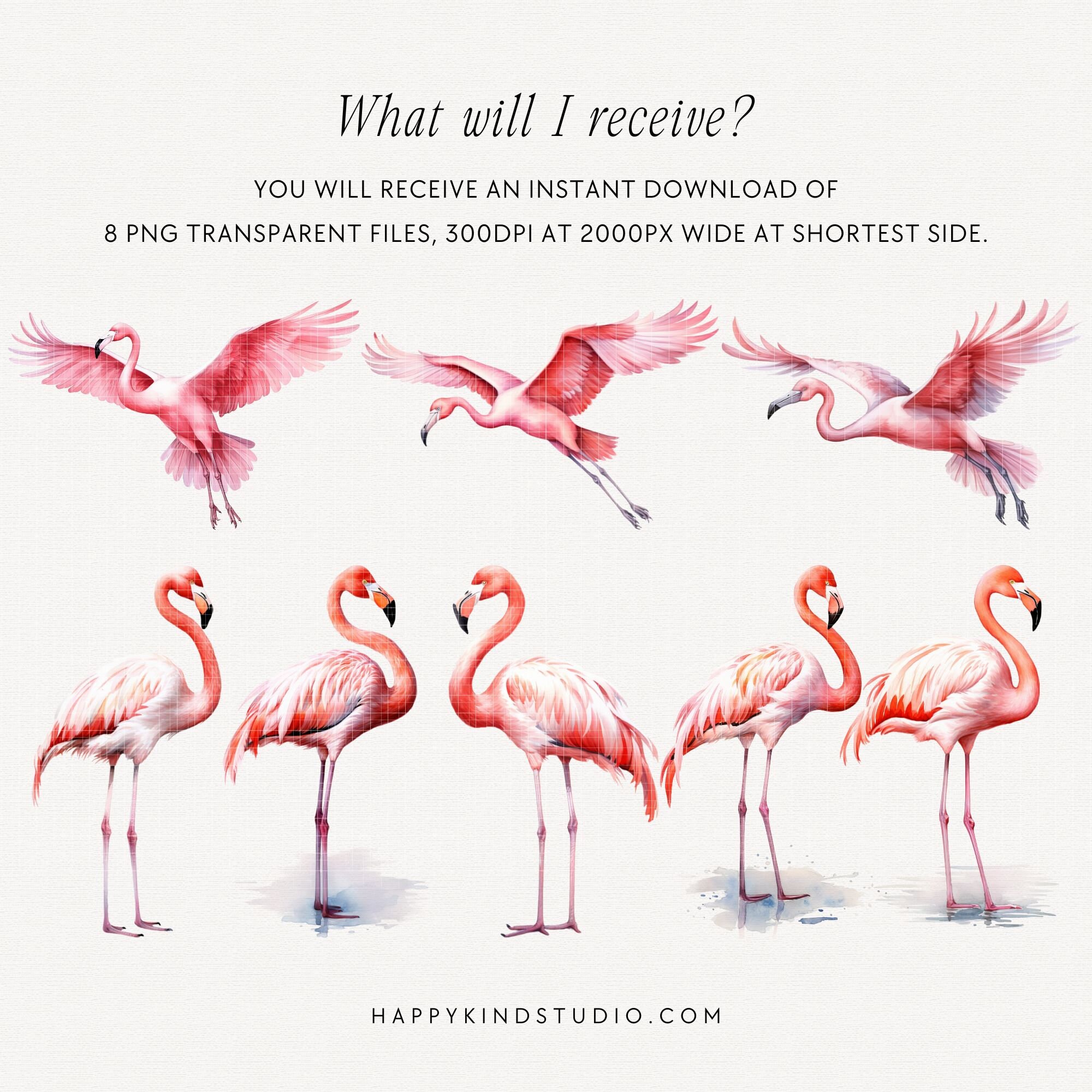 Pink Flamingo Clip Art, Watercolor Art, Tropical Birds, Flying ...