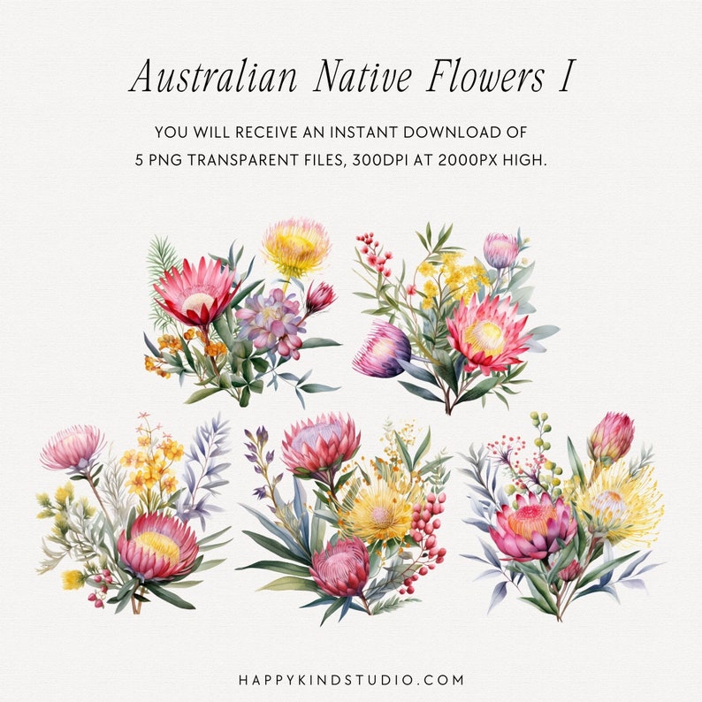 Australian Native Flowers Clipart Bundle, Watercolor Floral Bundle ...