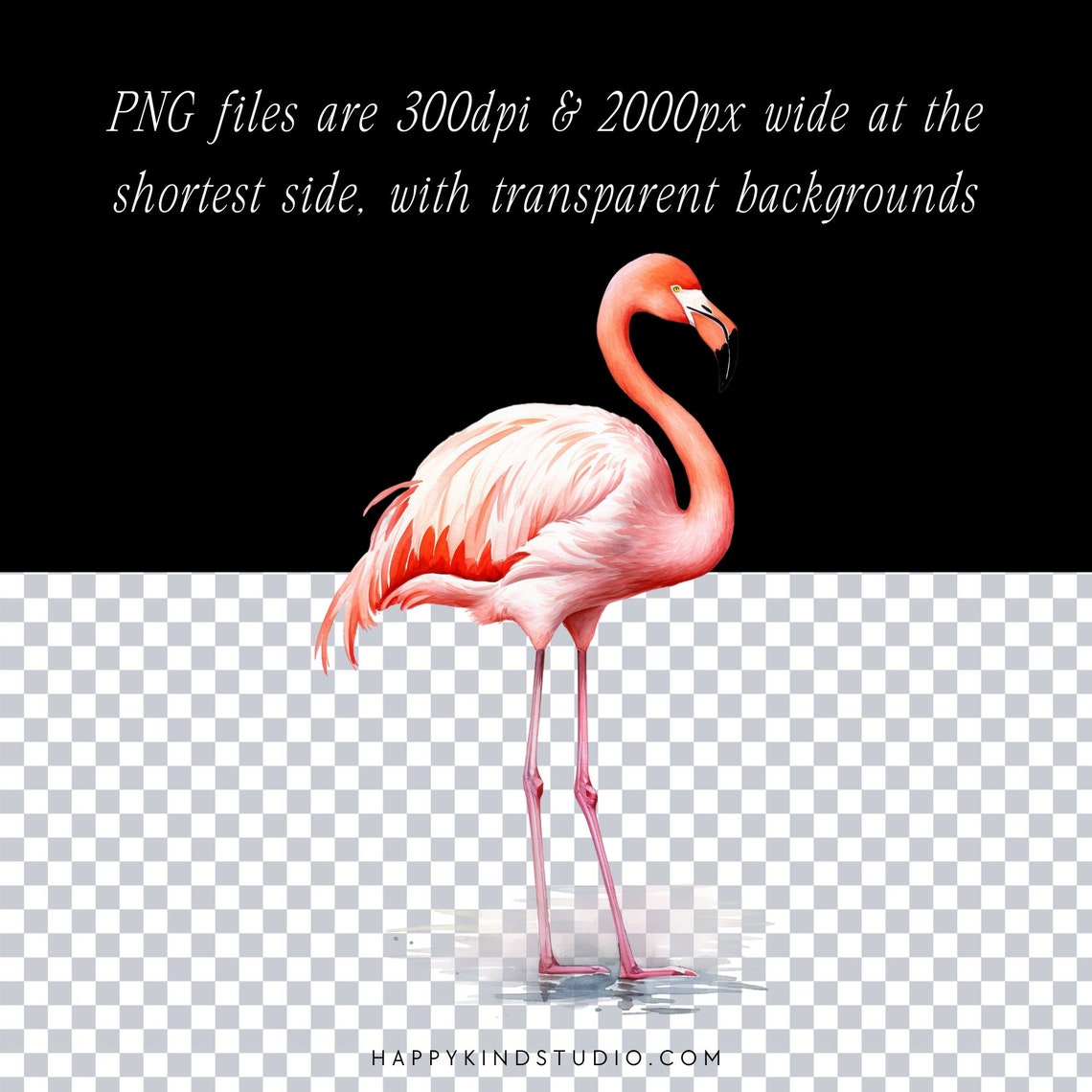 Pink Flamingo Clip Art, Watercolor Art, Tropical Birds, Flying ...