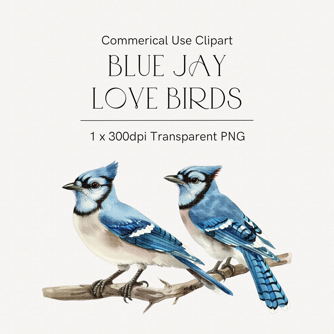 Blue Jay Birds Clipart, Watercolor Birds Printable, Romantic Love Birds ...