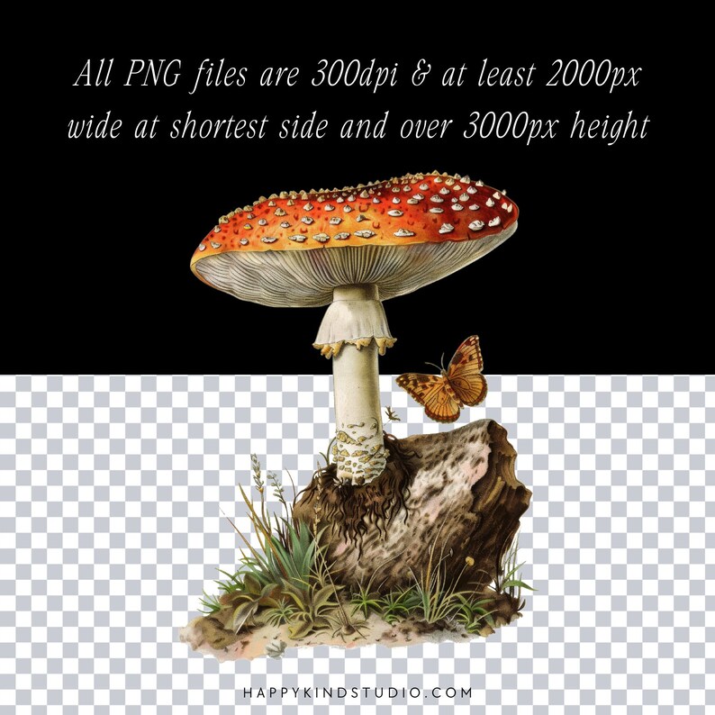 Fairy Mushroom Clipart, Forest Clipart, Woodland Clipart, Toadstool ...