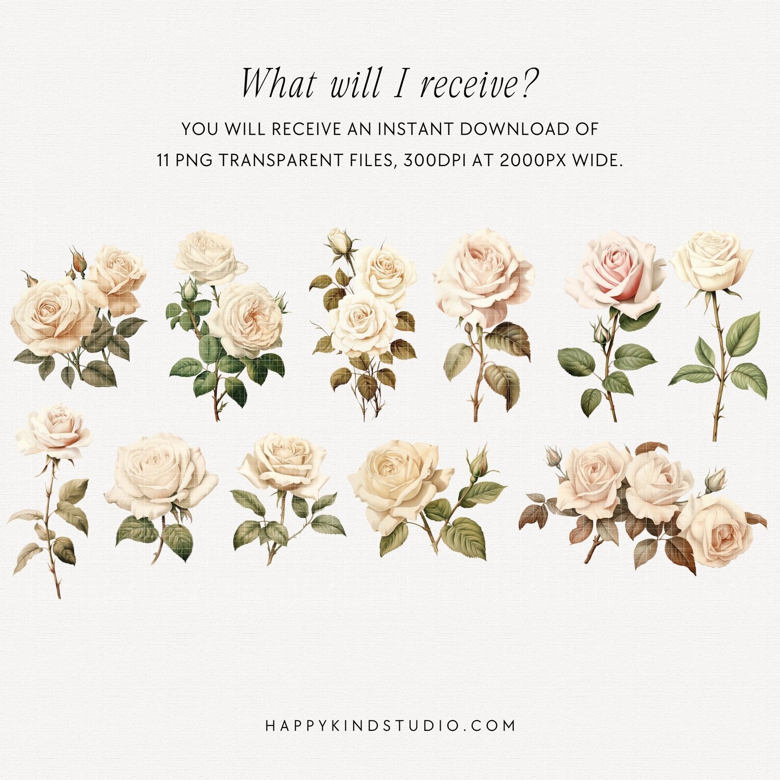 White Roses Clipart, Vintage Rose Clipart, Botanical Illustration, Rose ...