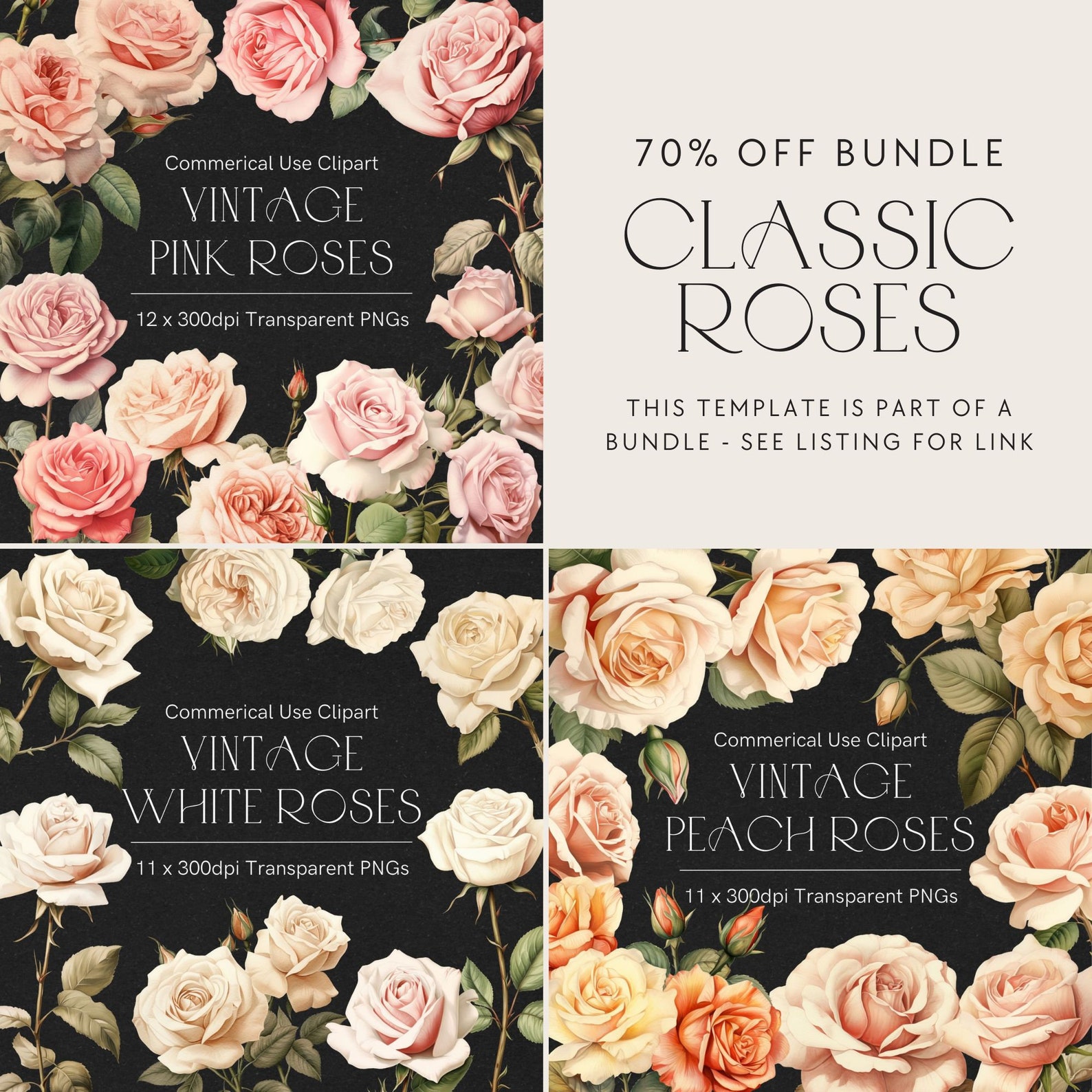 White Roses Clipart, Vintage Rose Clipart, Botanical Illustration, Rose ...