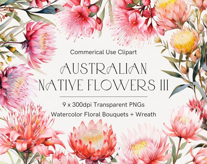 Australian Native Flowers Clipart Gumnut Blossoms Eucalyptus Flowers ...