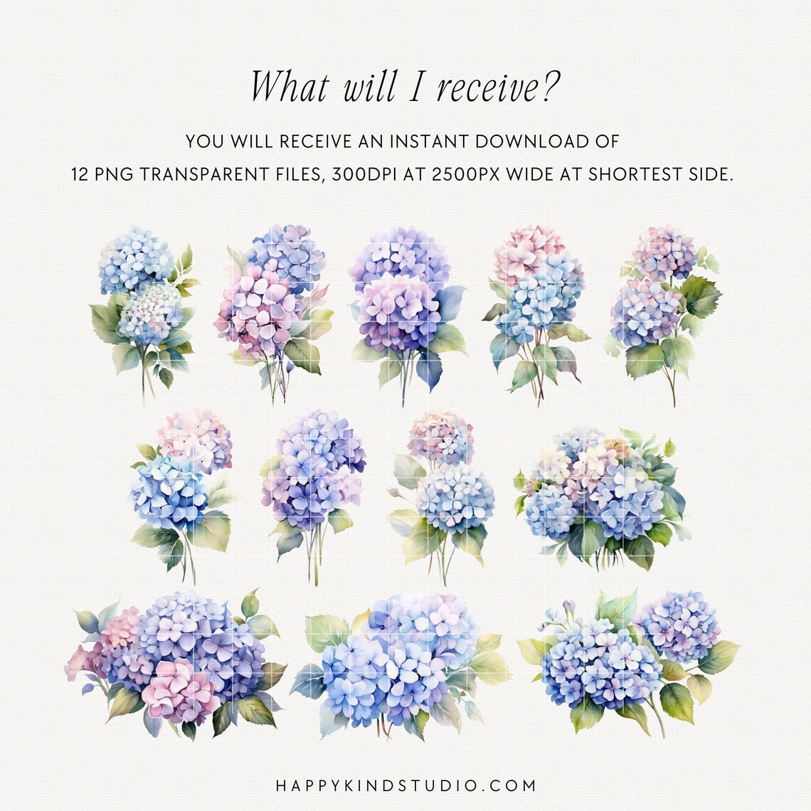 Blue and Pink Hydrangea Clipart, Botanical Art, Hydrangeas Clipart ...