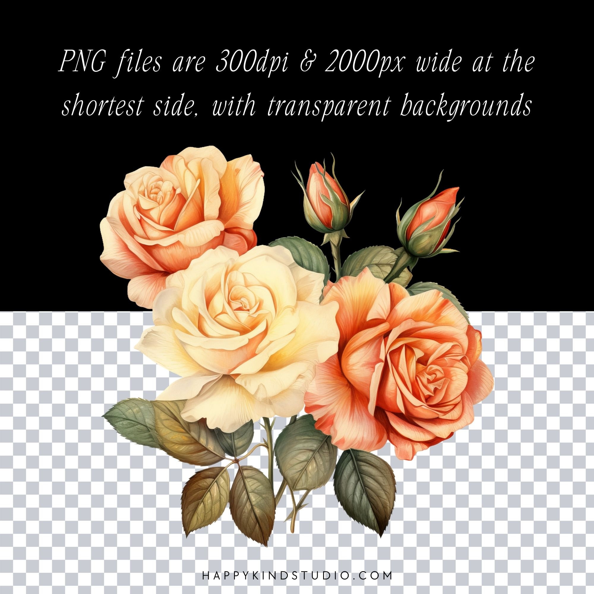 Peach Rose Clipart, Roses Png, Valentine's Day DIY, Spring Watercolor ...
