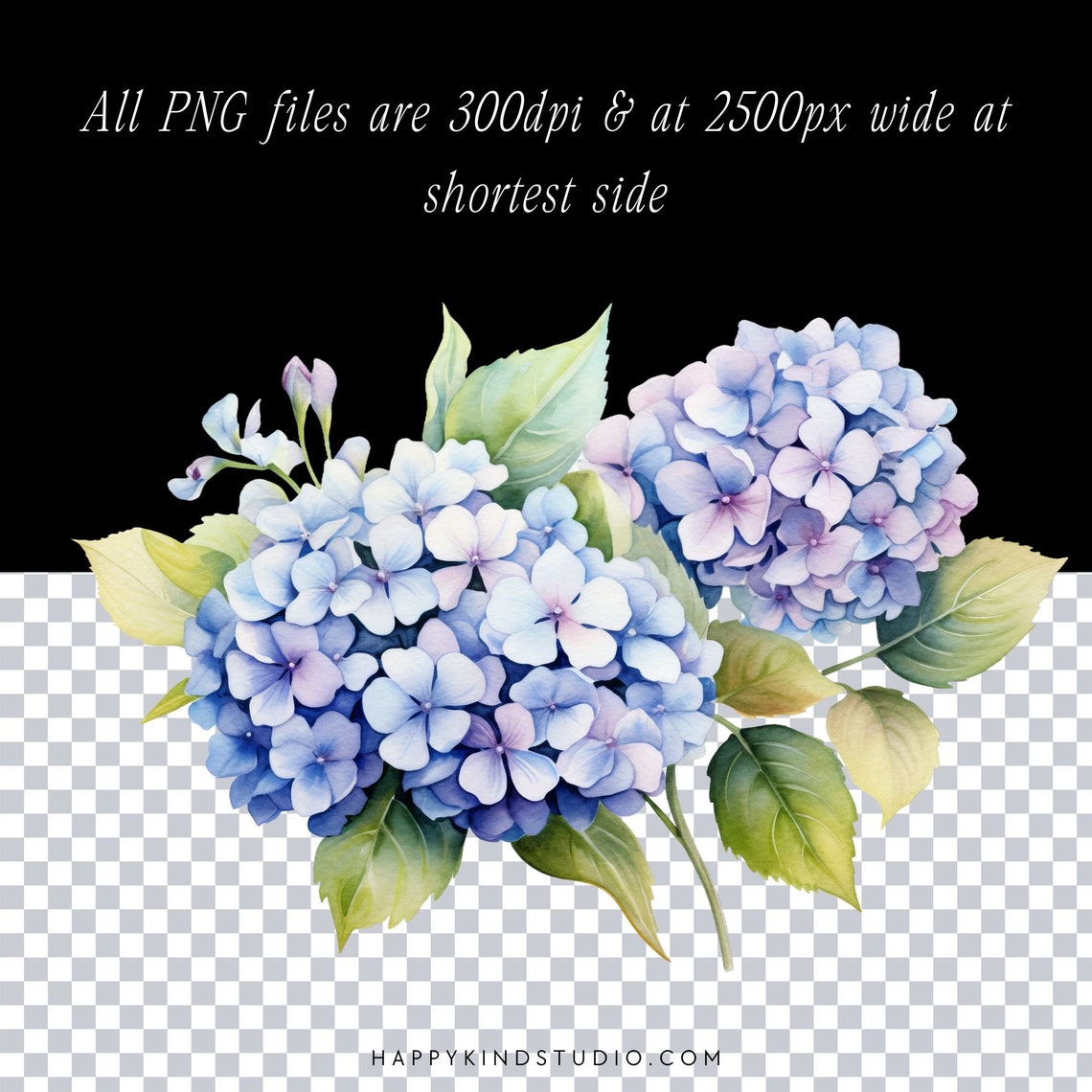 Blue and Pink Hydrangea Clipart, Botanical Art, Hydrangeas Clipart ...