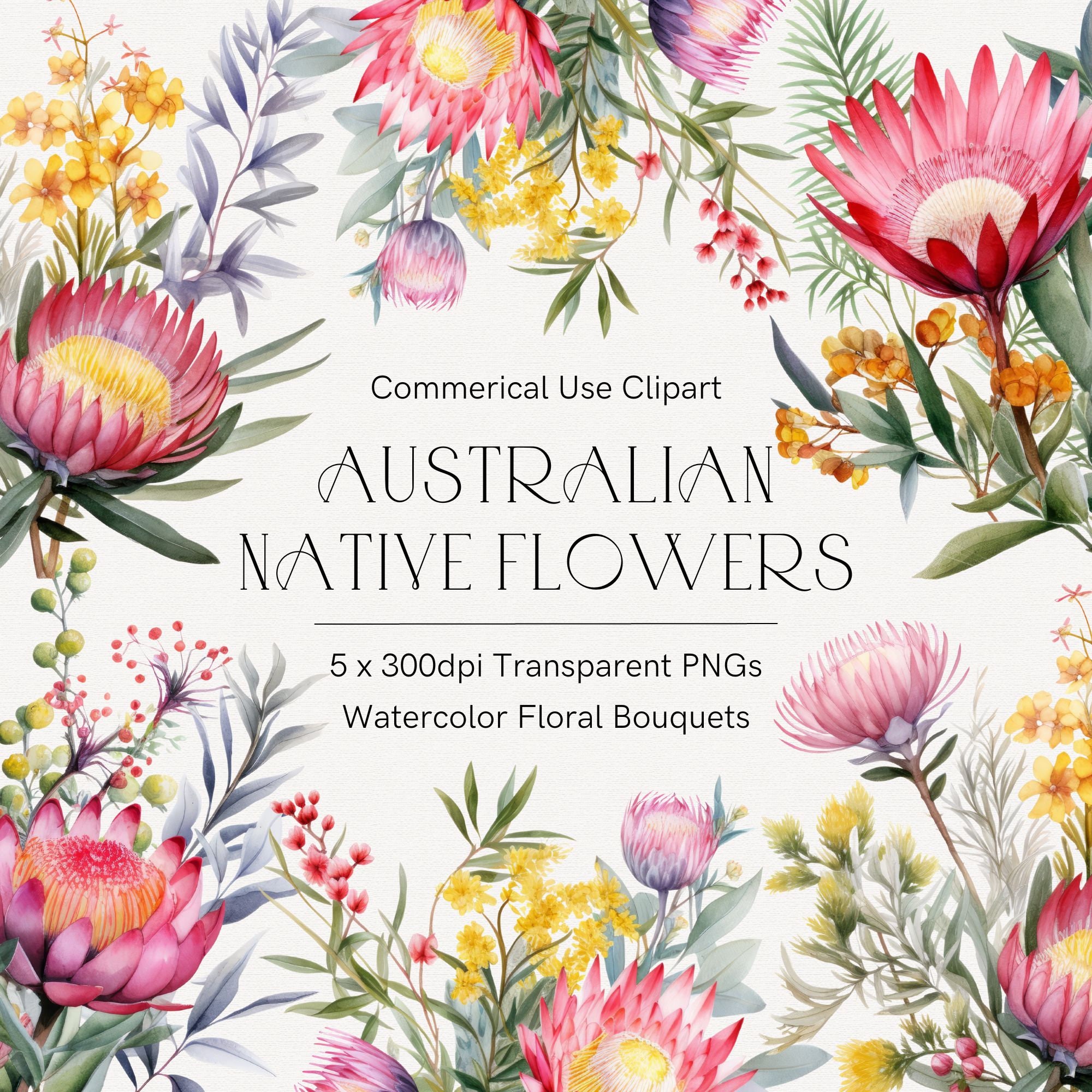 Native Australian Watercolor Flowers, Floral Clipart, Transparent PNG ...