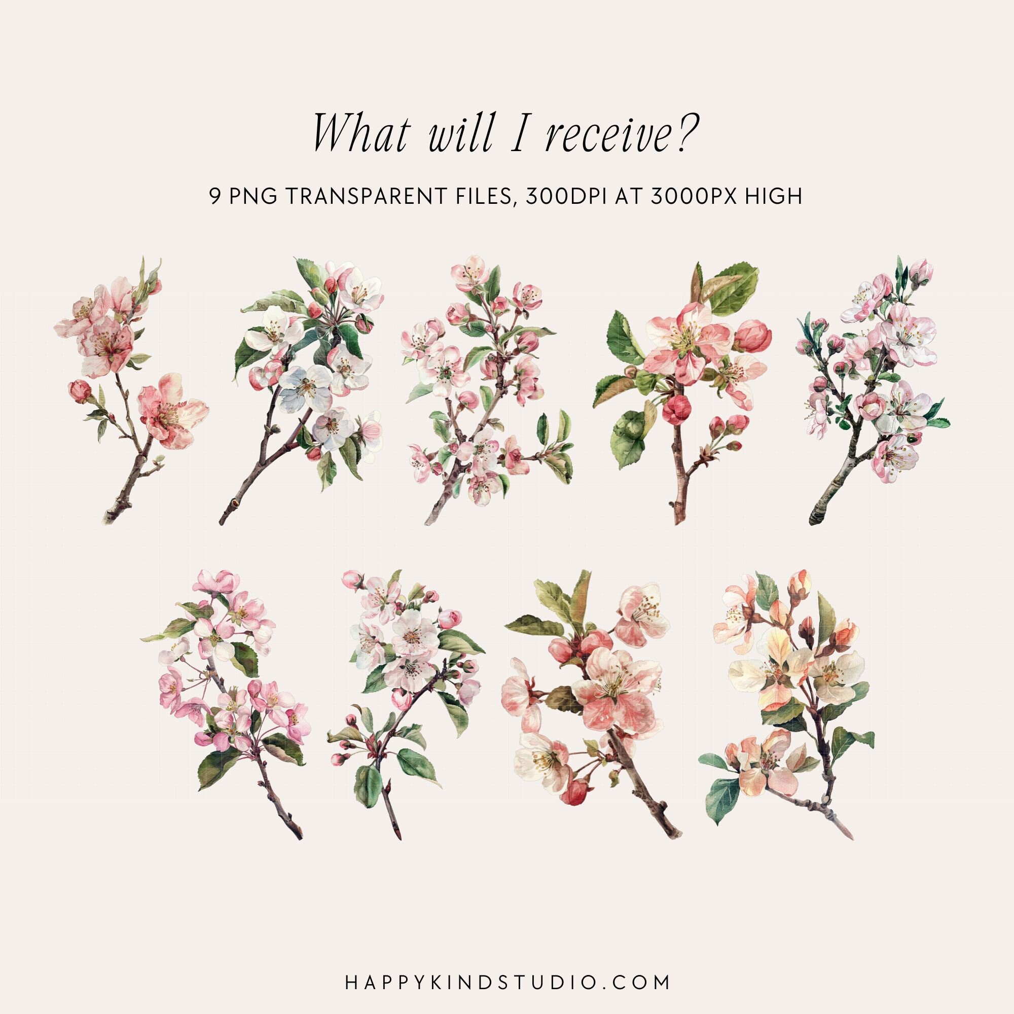 Watercolor Sakura Clipart, Cherry Blossom Png, Spring Flowers, Wedding ...