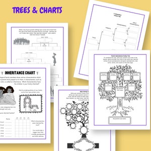 Family Tree Activity Pack for Kids / Digital Download / Ancestry Charts ...