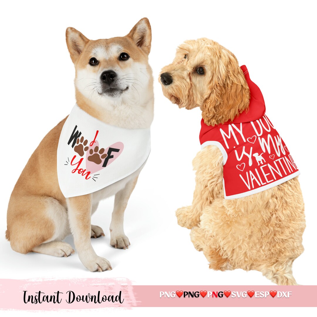 Valentine's Cat Lovers Dog Lovers Graphics Bundle, My Dog is My ...
