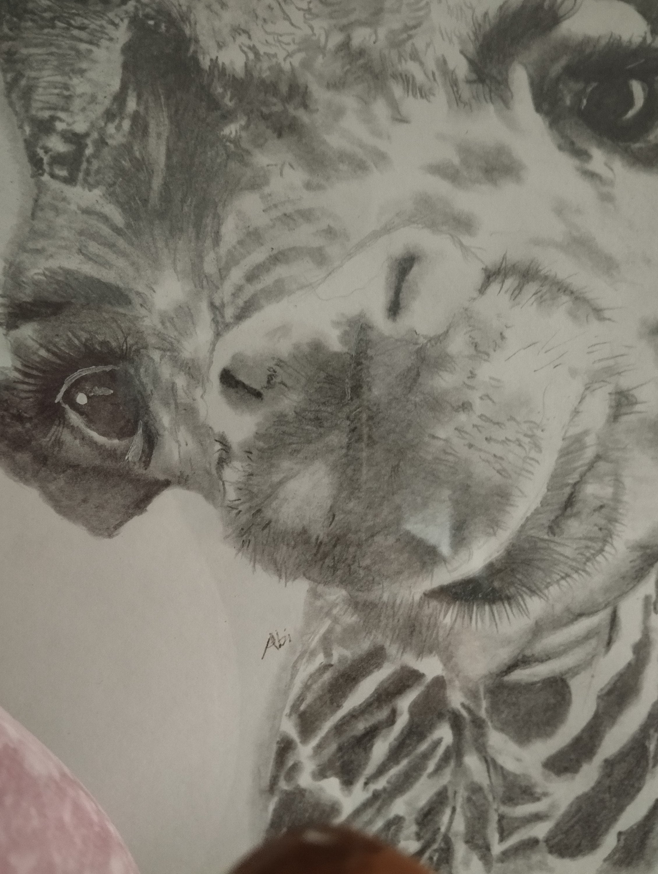 Portrait Picture of a Giraffe With Cheeky Smile, Realistic Artistic ...