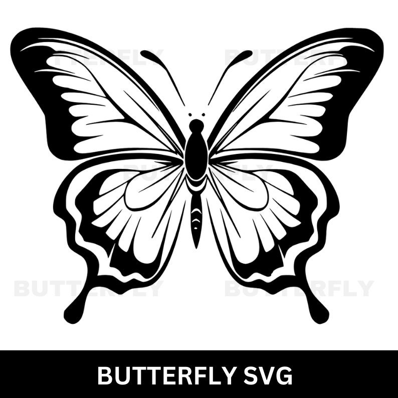 High Quality Butterfly Bundle SVG & PNG, Butterfly Vector Wall Art ...