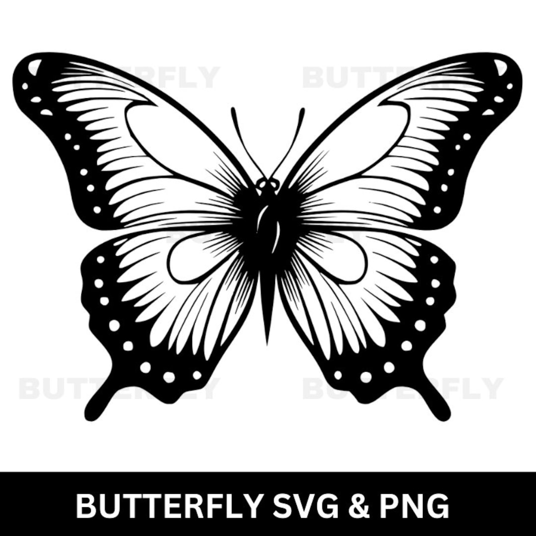 High Quality Butterfly SVG & PNG, Butterfly Vector Wall Art, Butterfly ...