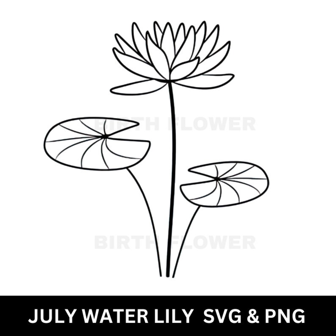 High Quality July Water Lily Birth Flower Svg & Png, Birth Flower ...