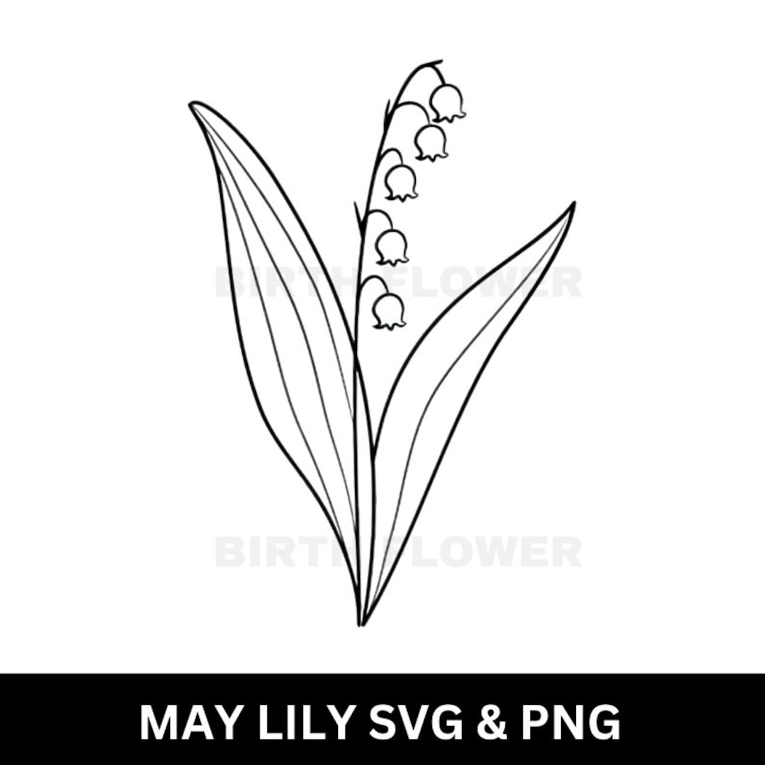 High Quality May Lily Birth Flower Svg & Png, Birth Flower Vector Wall ...