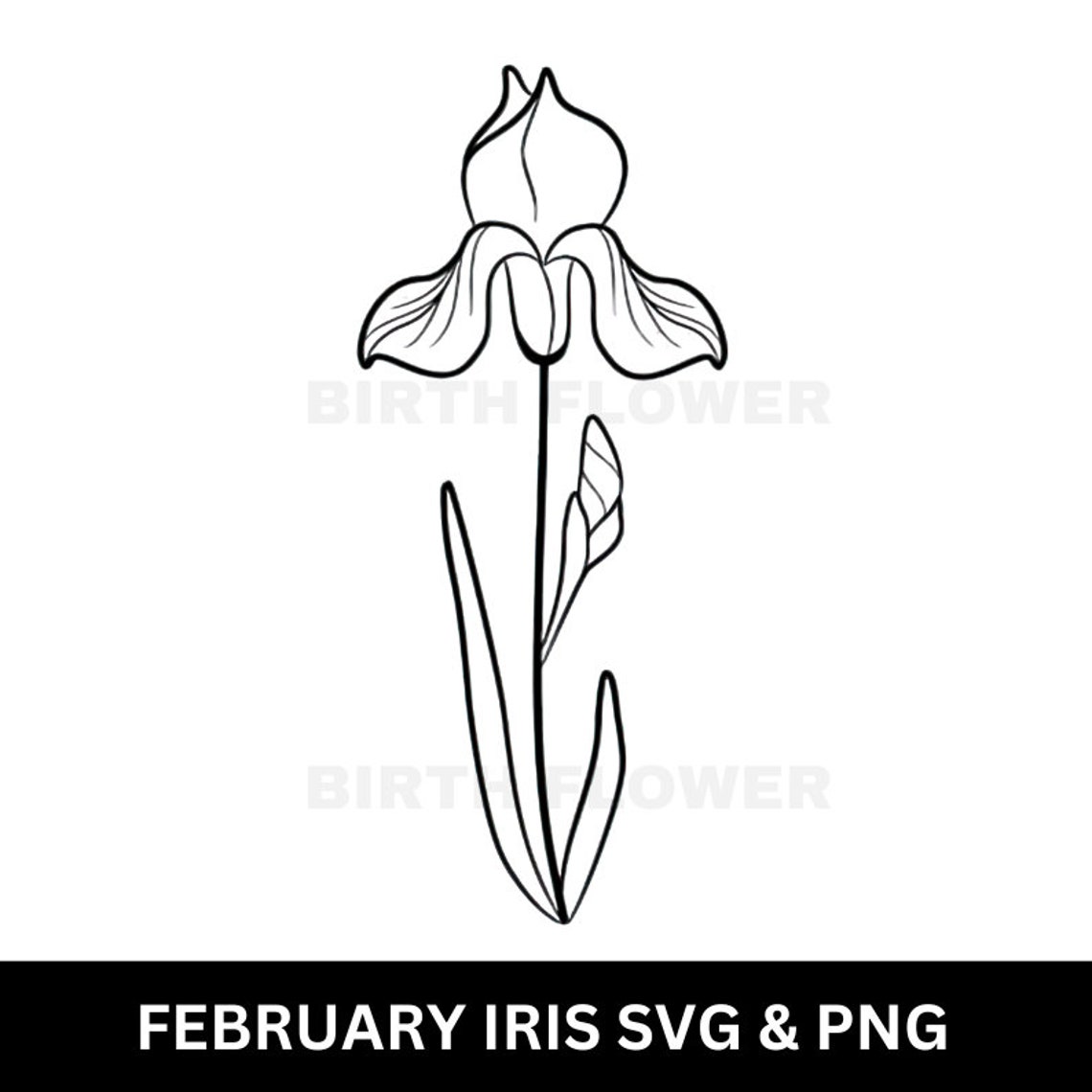 High Quality February Iris Birth Flower Svg & Png, Birth Flower Vector ...