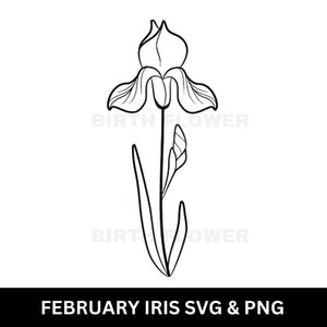 High Quality February Iris Birth Flower Svg & Png, Birth Flower Vector ...
