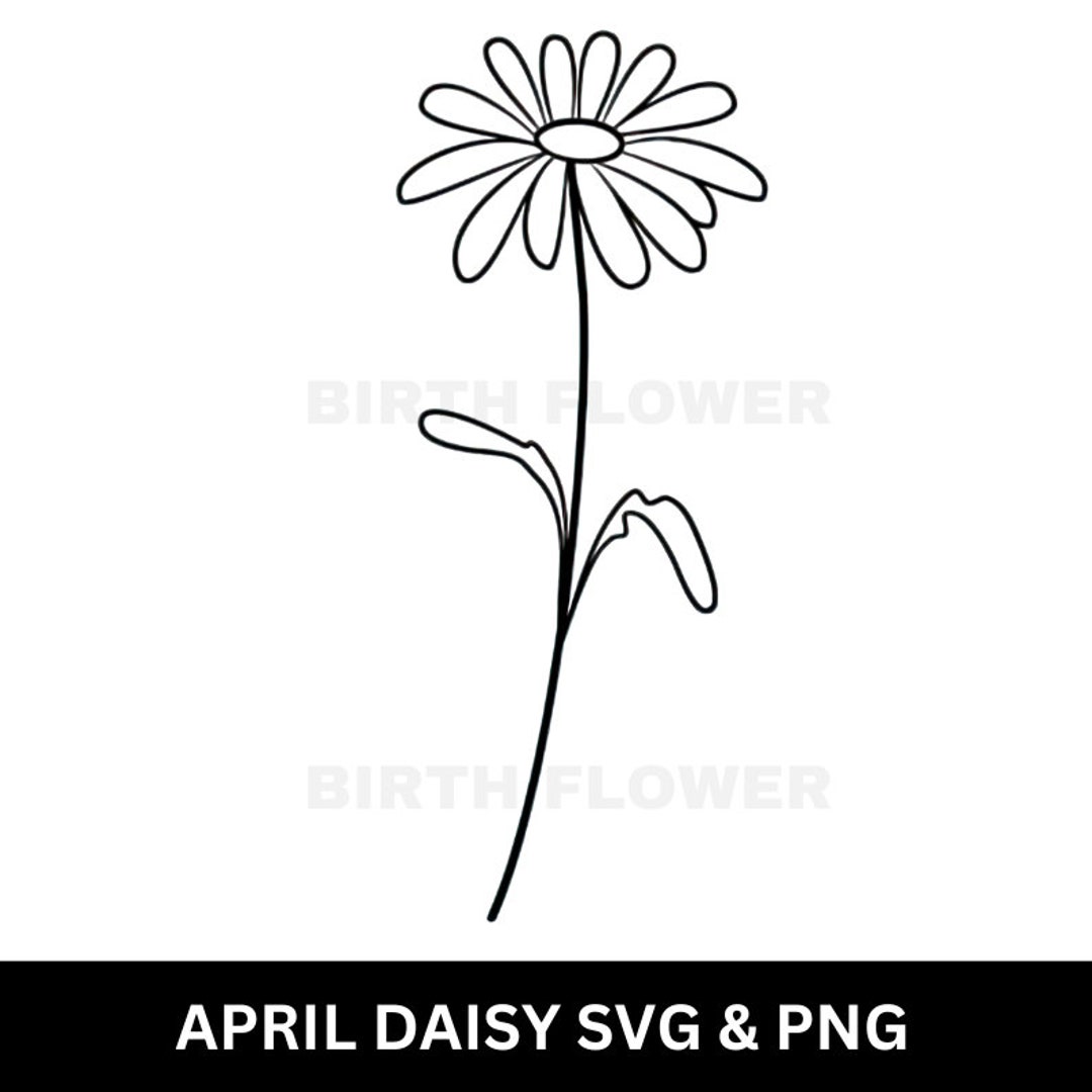 High Quality April Daisy Birth Flower Svg & Png, Birth Flower Vector ...