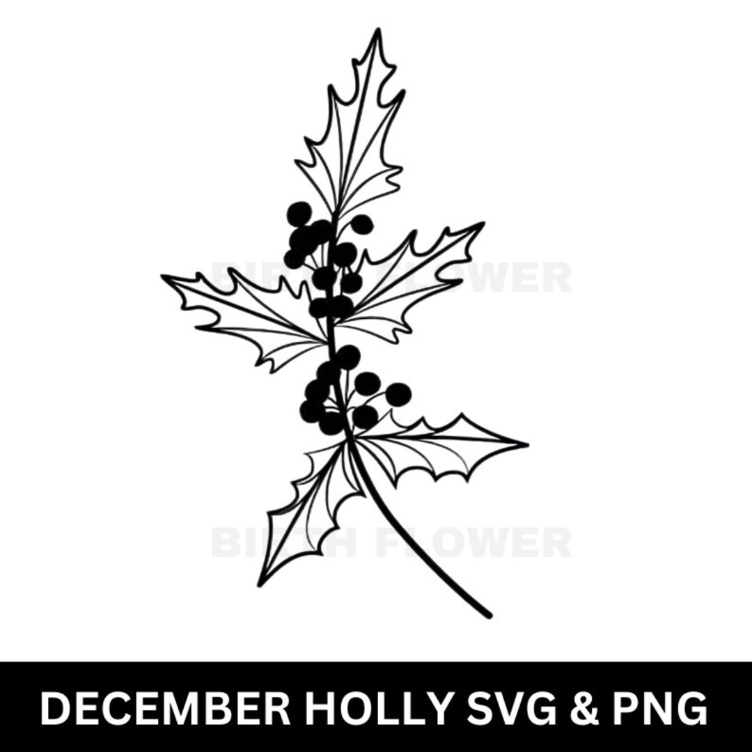 High Quality December Holly Birth Flower Svg & Png, Birth Flower Vector ...