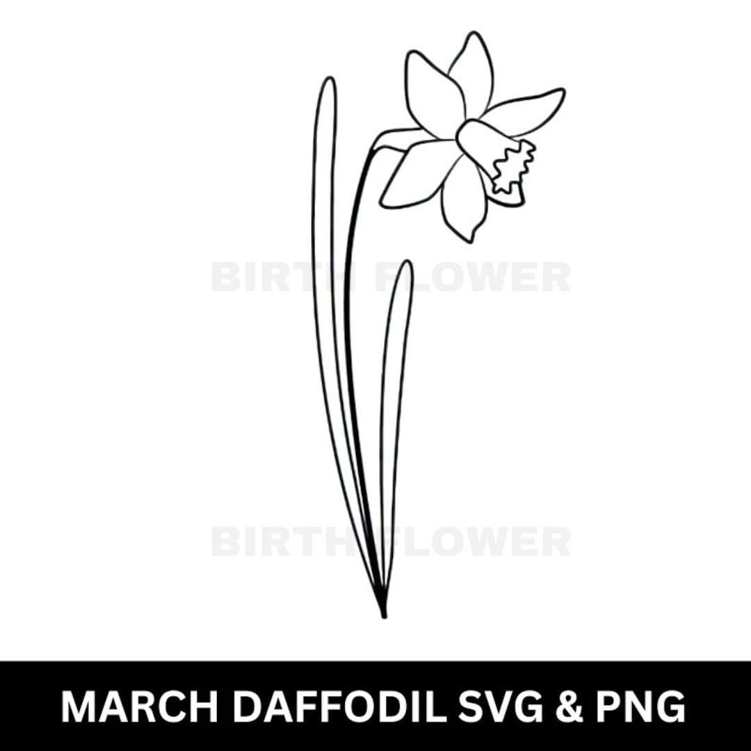 High Quality March Daffodil Birth Flower Svg & Png, Birth Flower Vector ...