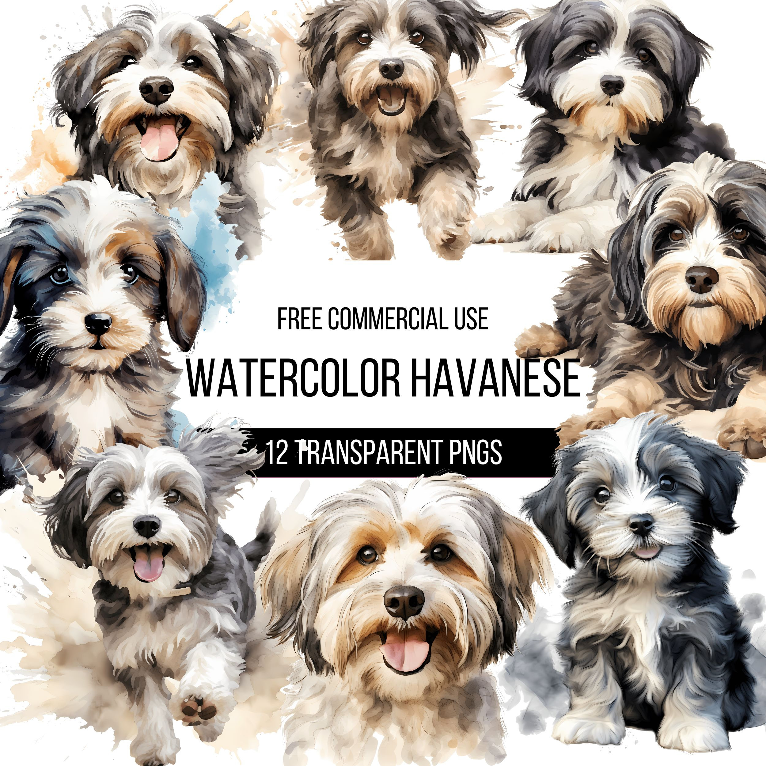 Watercolor Havanese Dog Clipart - 12 High Quality Transparent Pngs ...