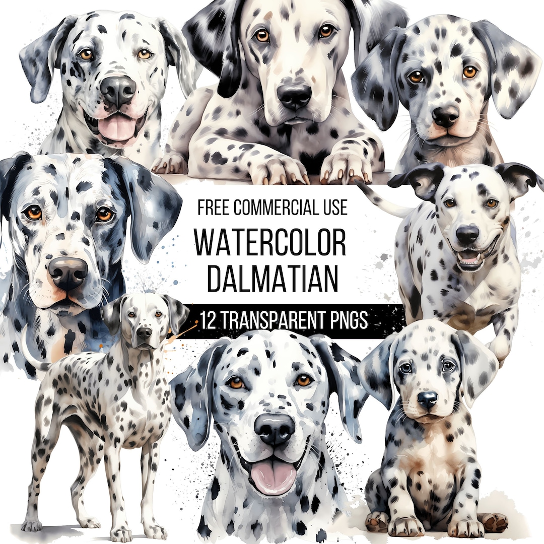 Watercolor Dalmatian Dog Clipart - 12 High Quality Transparent Pngs ...
