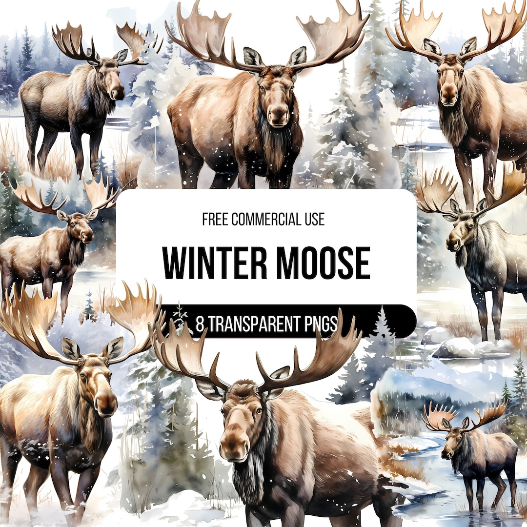 Watercolor Winter Moose Clipart - 8 High Quality Transparent Pngs ...