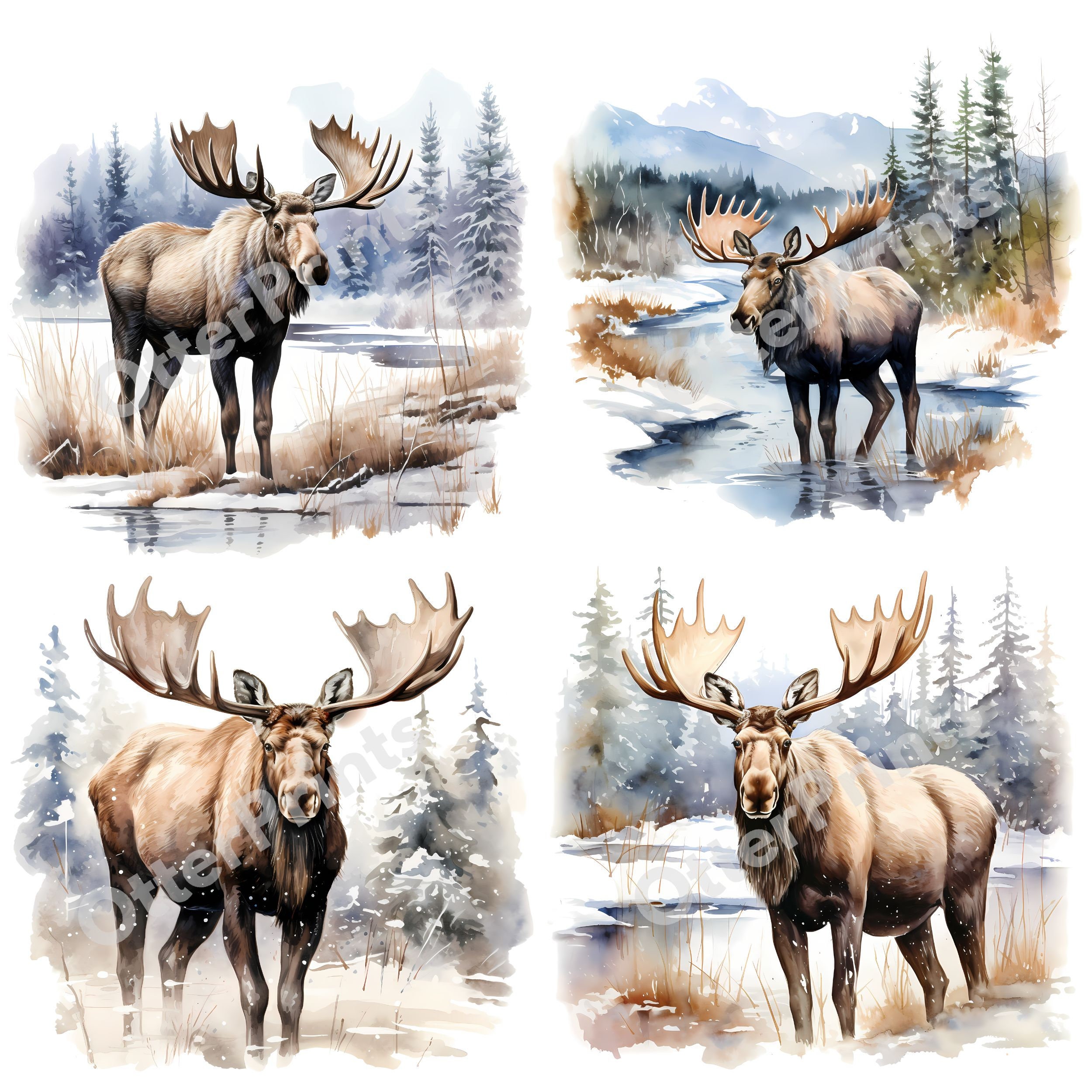 Watercolor Winter Moose Clipart - 8 High Quality Transparent Pngs ...
