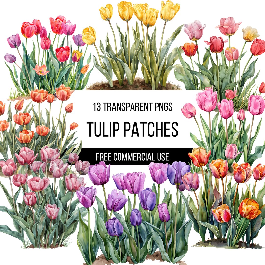 Watercolor Tulip Patches Clipart - 13 High Quality Transparent Pngs ...