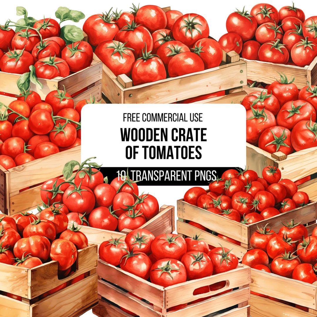 Wooden Crate of Fresh Tomatoes Clipart - 10 High Quality Transparent ...
