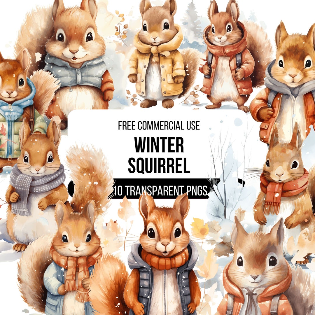 Watercolor Winter Squirrel Clipart 10 High Quality Transparent Pngs ...