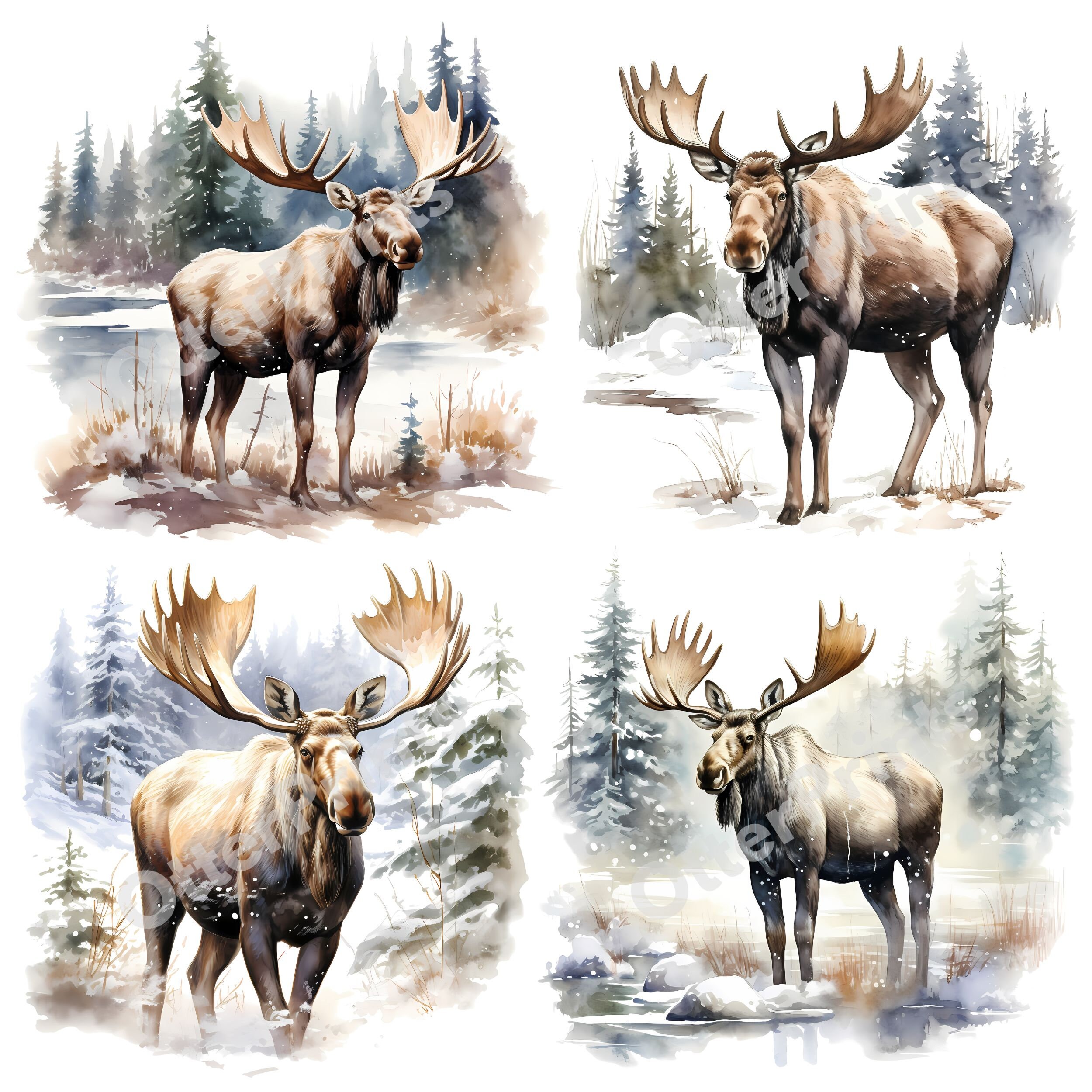 Watercolor Winter Moose Clipart - 8 High Quality Transparent Pngs ...