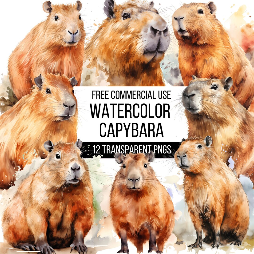 Watercolor Capybara Clipart - 12 High Quality Transparent Pngs ...