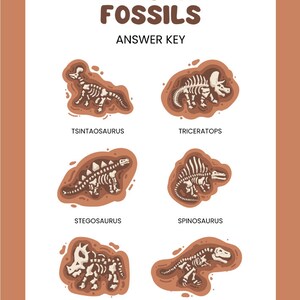 Dinosaur Fossil Activities | Dino Fossils Learning Pages | Prehistoric ...