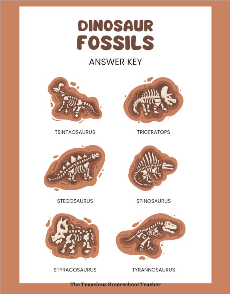 Dinosaur Fossil Activities | Dino Fossils Learning Pages | Prehistoric ...